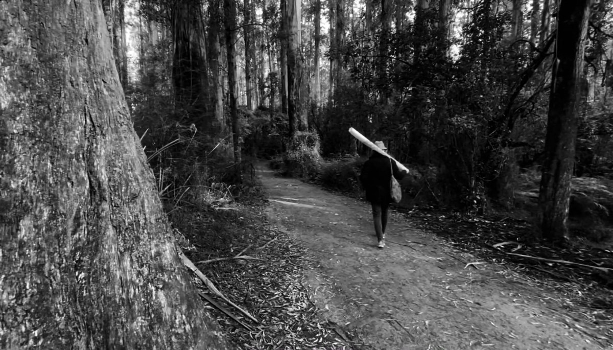 richard holt – image | word | performance